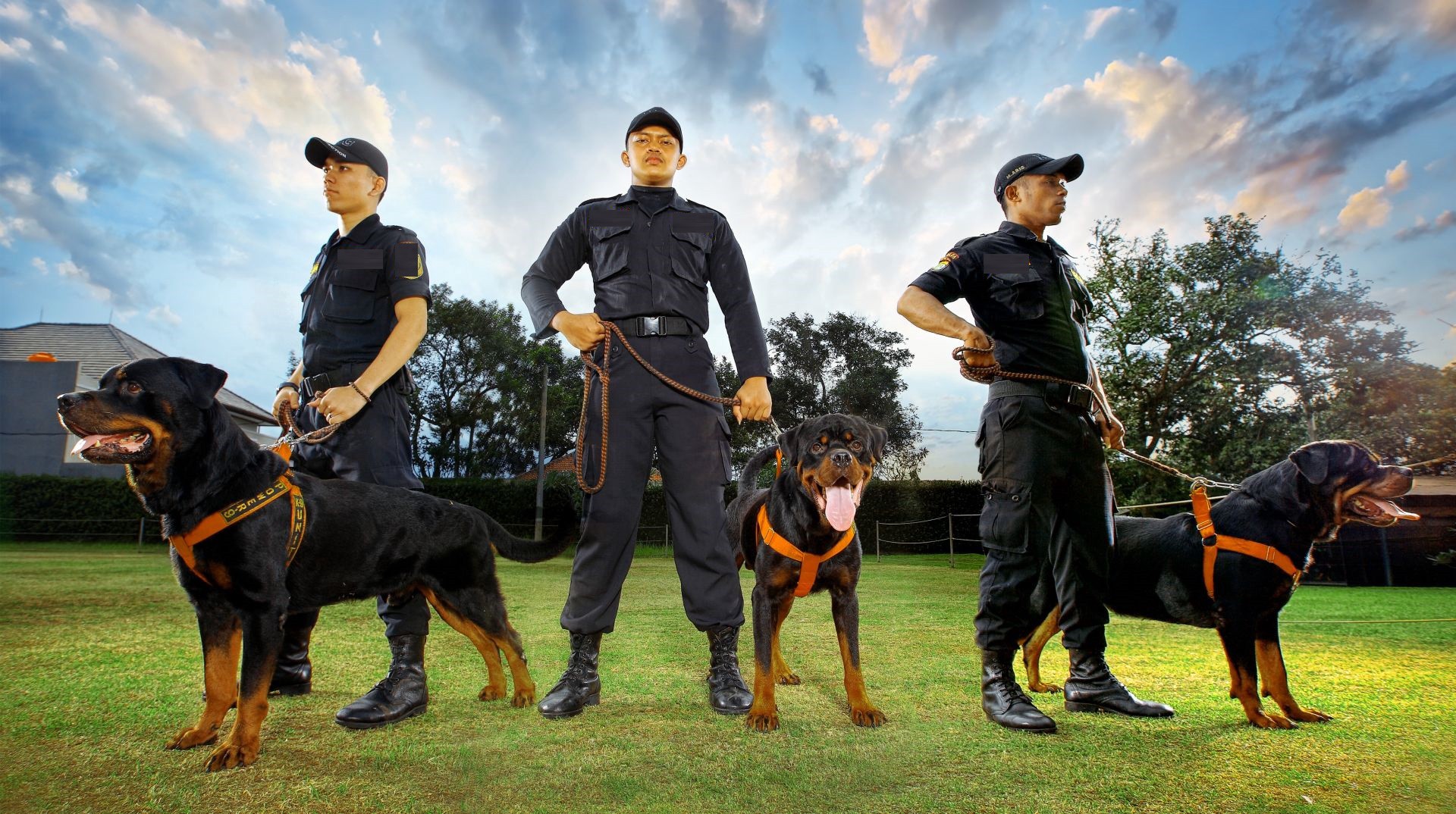Guard Dog Provision DOBS K9 SECURITY SERVICES Guard Dog Provision DOBS K9 SECURITY SERVICES